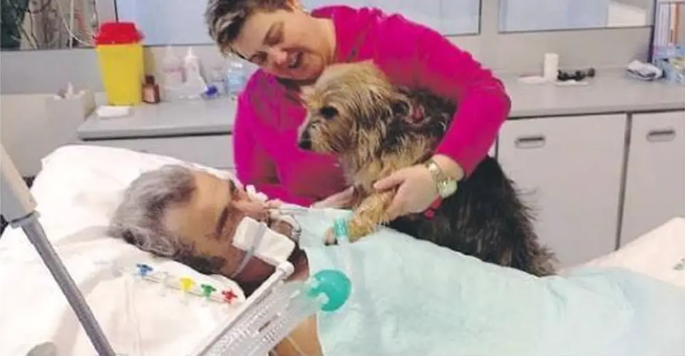 Father In Coma Doesn't Respond To Paramedics, But Gives A Sign When He ...