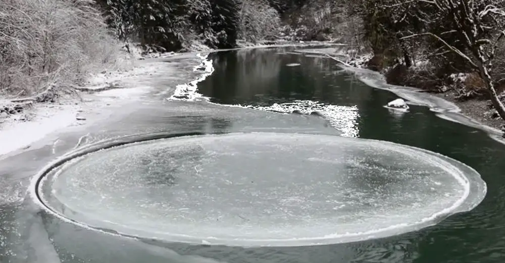 Scientists Baffled When They See One Of Nature’s Most Rare Occurrences ...