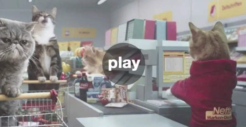 This German Grocery Store's Cat Ad Is The Funniest Thing You'll Ever ...