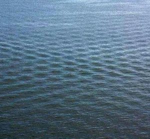What It Means If You See Square Waves In The Ocean?