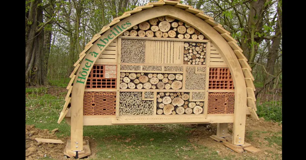 Here's How You Can Build Bee Hotels To Help Save Native Bees